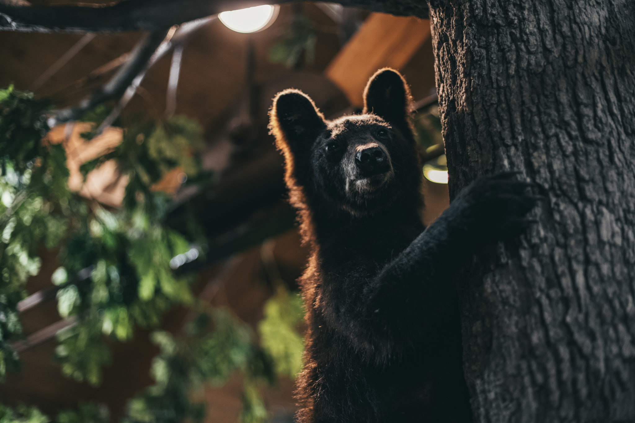 Sites - FIND Outdoors