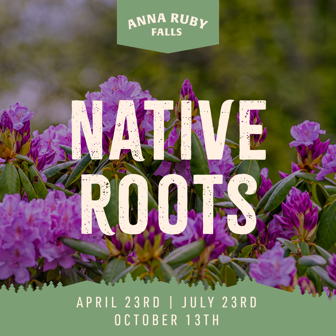 Anna Ruby Falls | Official Site - FIND Outdoors