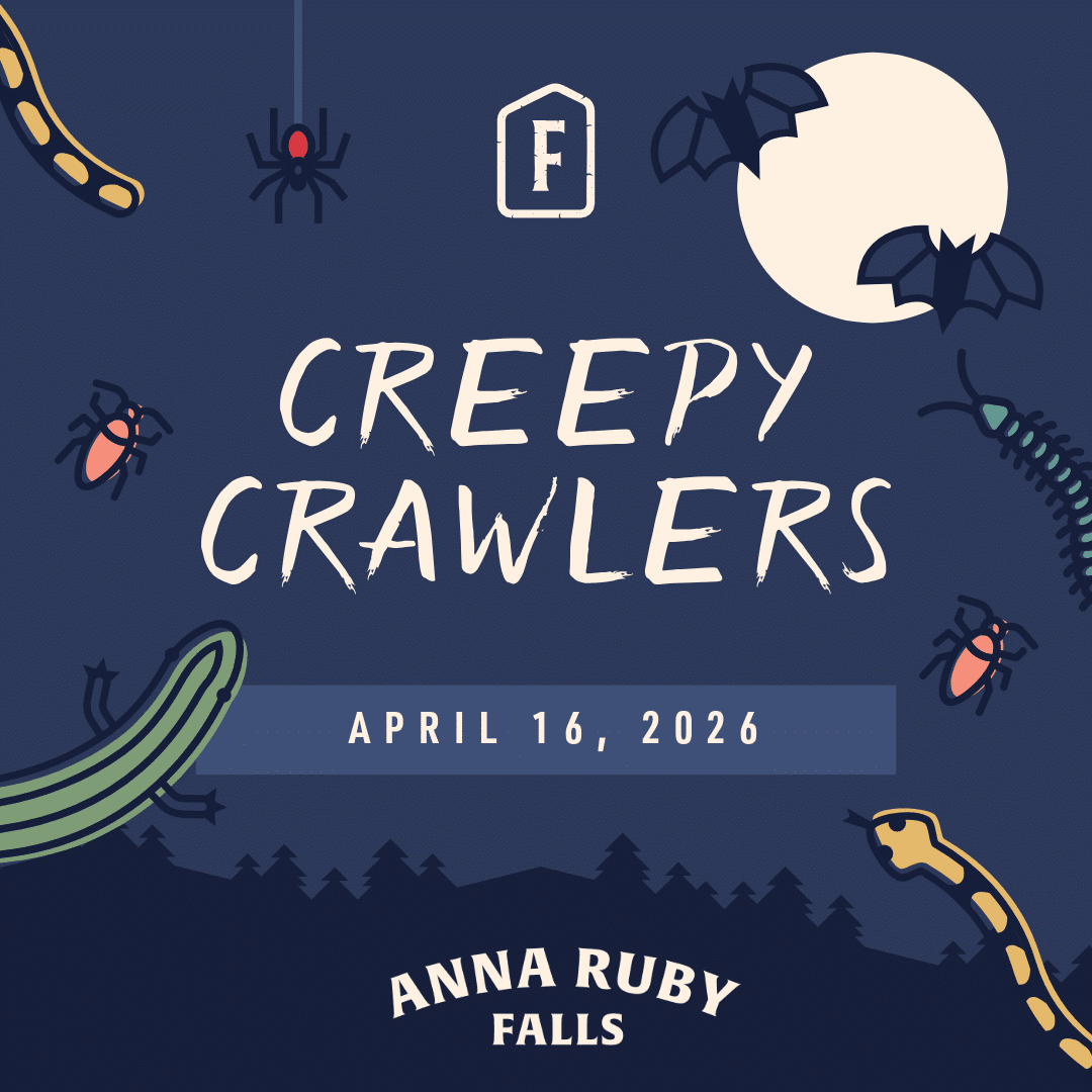 Anna Ruby Falls | Official Site - FIND Outdoors