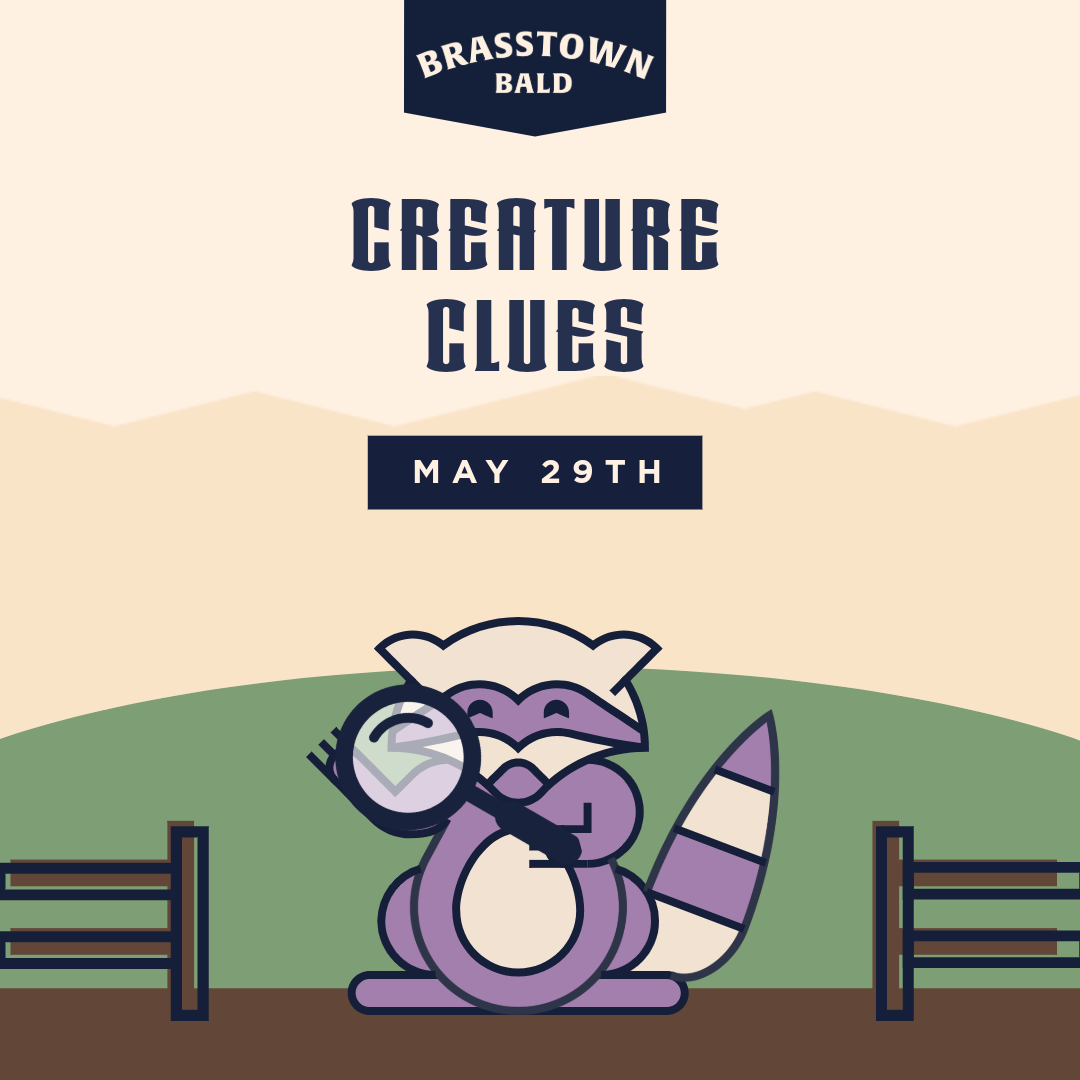 Brasstown Bald | Official Site - FIND Outdoors